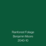 9 Benjamin Moore Popular Dark Green Paint Colors - Dori Turner Interiors